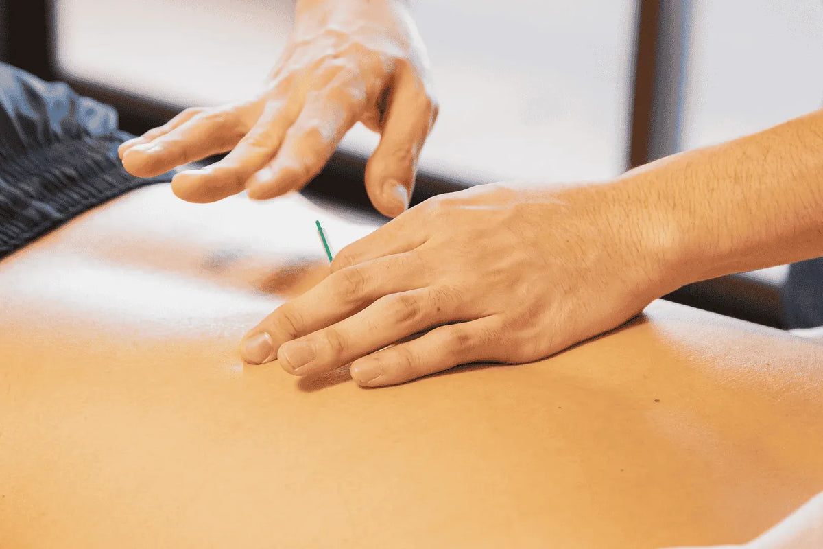 Quadratus Lumborum Dry Needling Explained