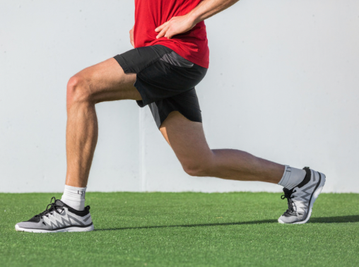 Your Sartorius Muscle 101